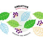 Zone Maps | Three Kings Primary School