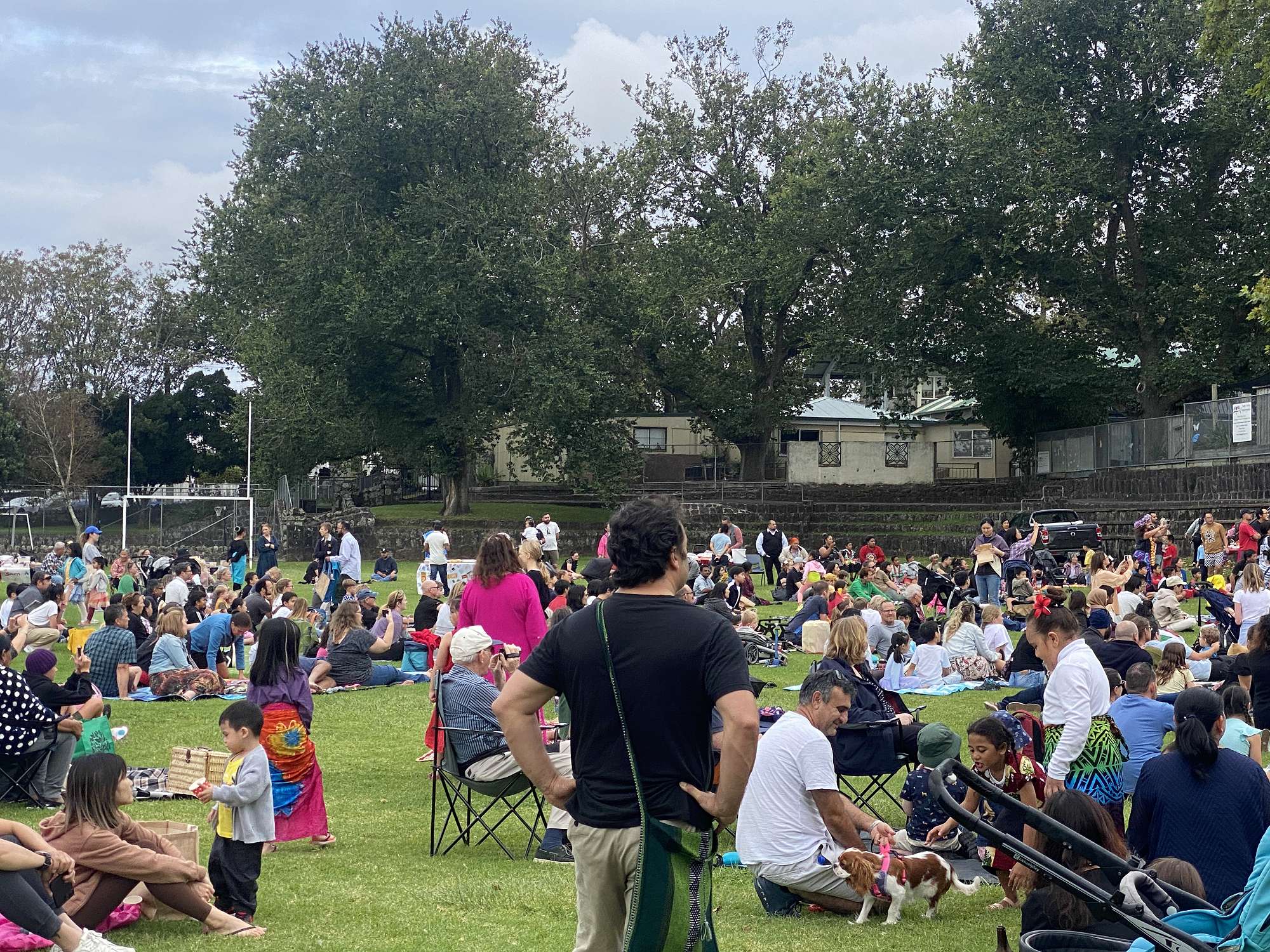 Three Kings School | Primary School | Three Kings Auckland